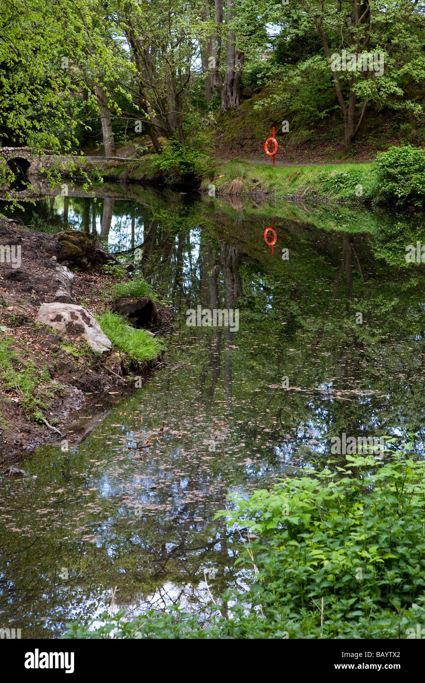 Trees lochside hi-res stock photography and images - Alamy