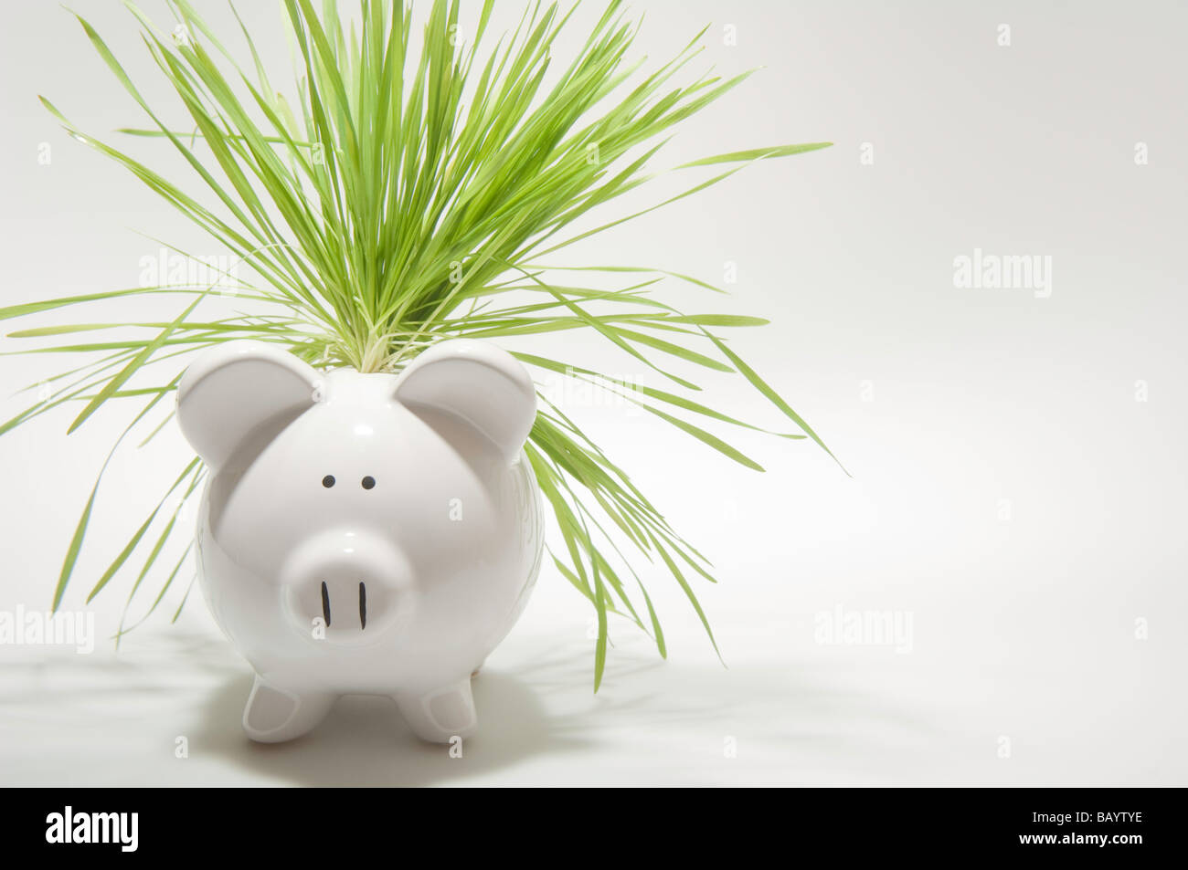 Piggy bank with green grass growing out of its coin slot Stock Photo ...