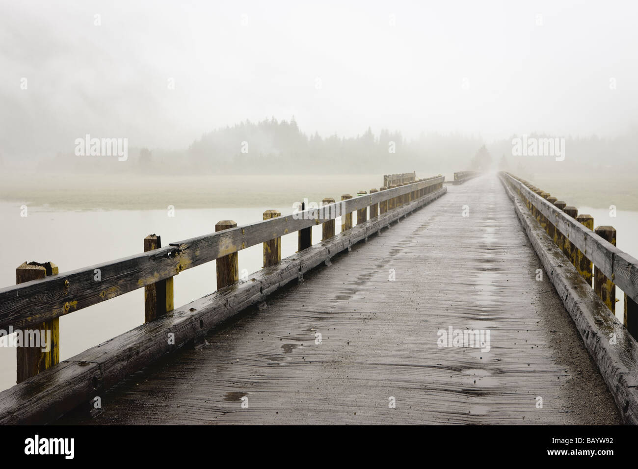 Wooden bridge disappearing into the mist Stock Photo - Alamy