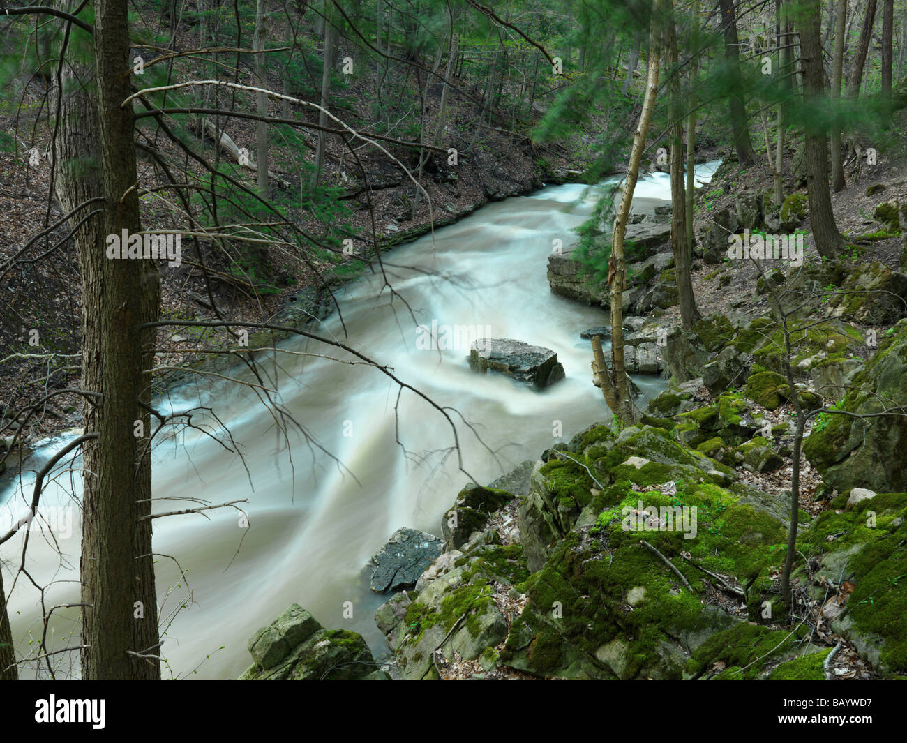 Spencer creek hi-res stock photography and images - Alamy
