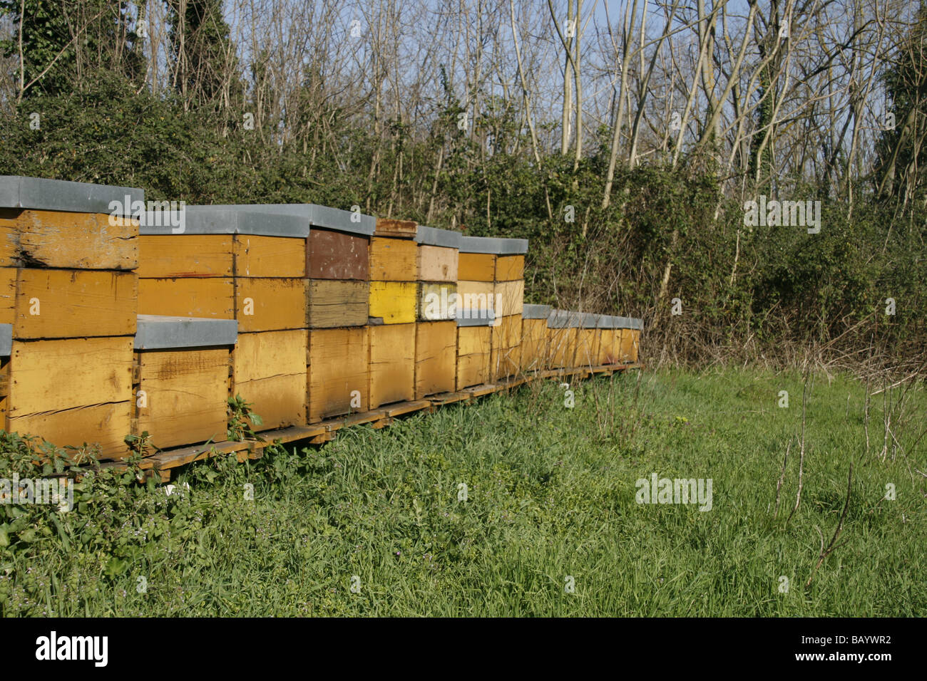Bee hives huts hi-res stock photography and images - Alamy