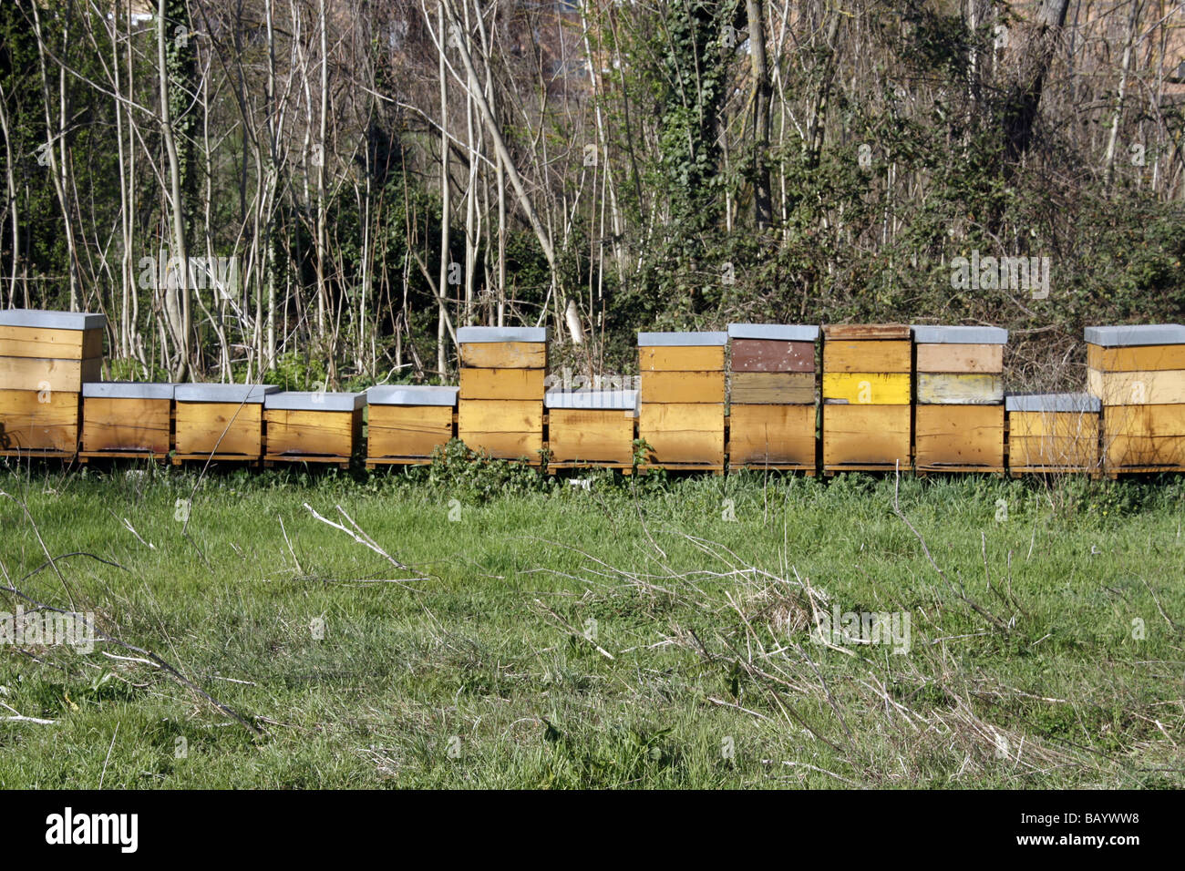 Bee hives huts hi-res stock photography and images - Alamy