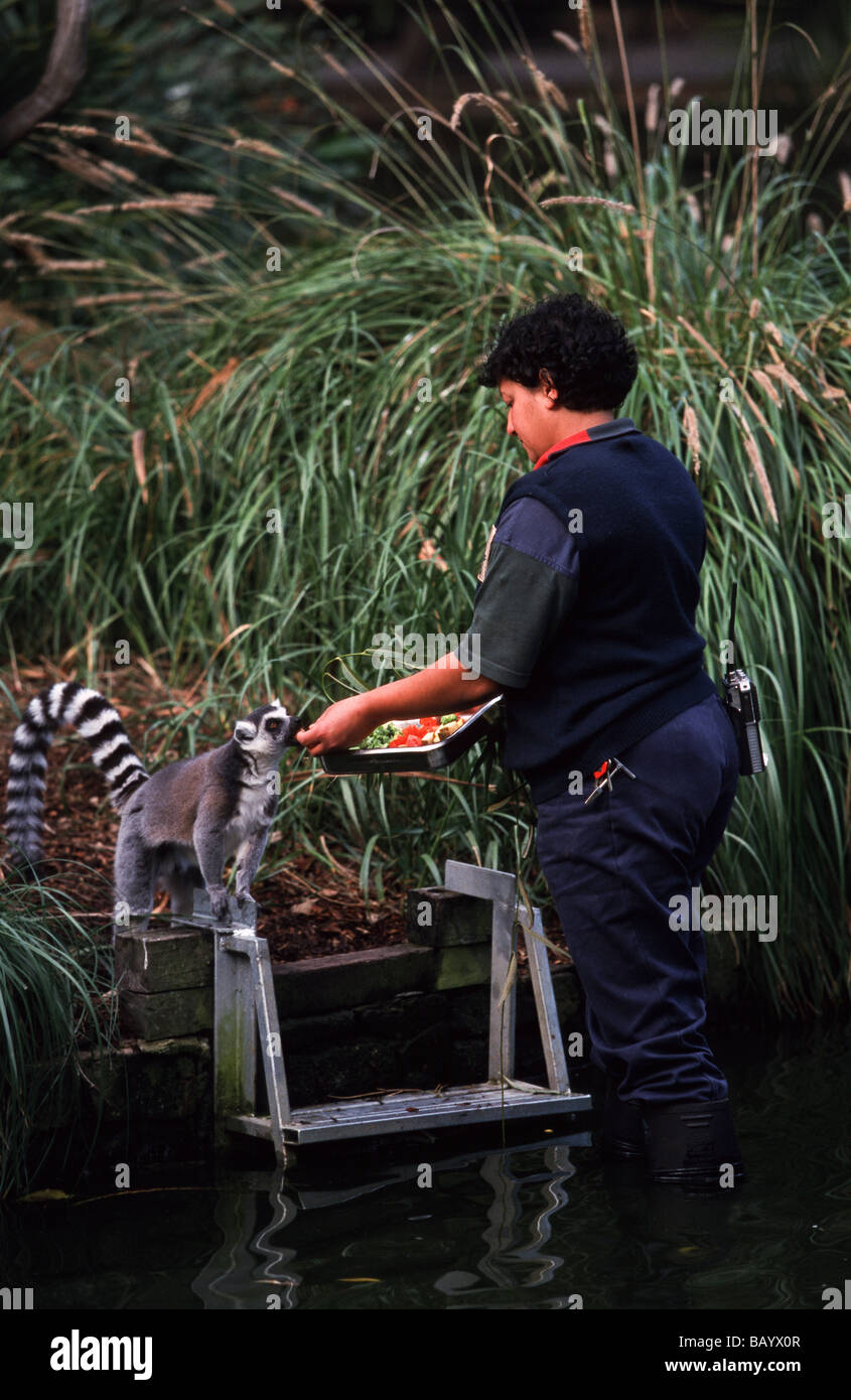 Female zookeeper hi-res stock photography and images - Alamy
