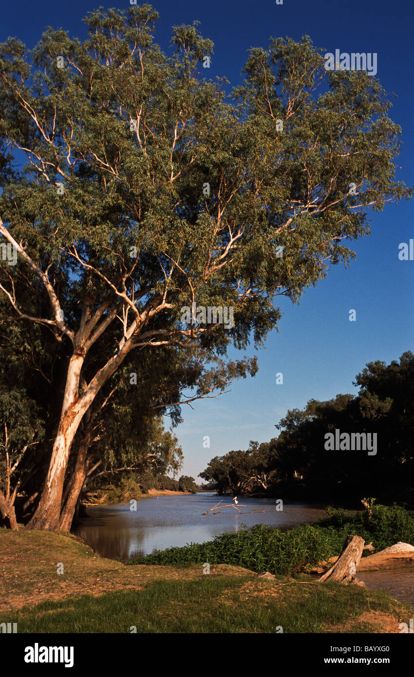 Cooper Creek, South Australia Stock Photo - Alamy