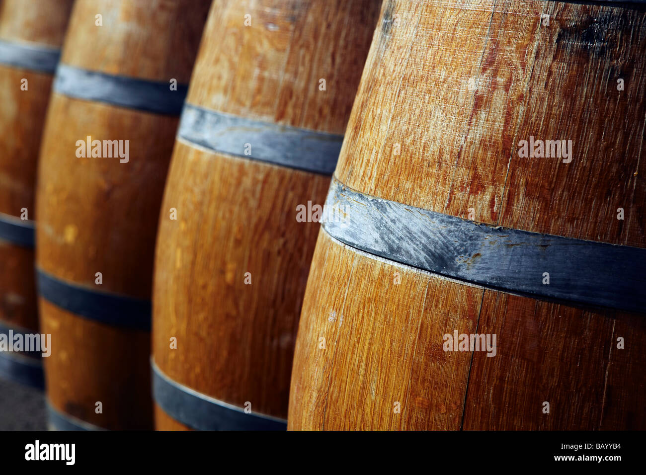 oak wine barrels, wine barrels Stock Photo - Alamy