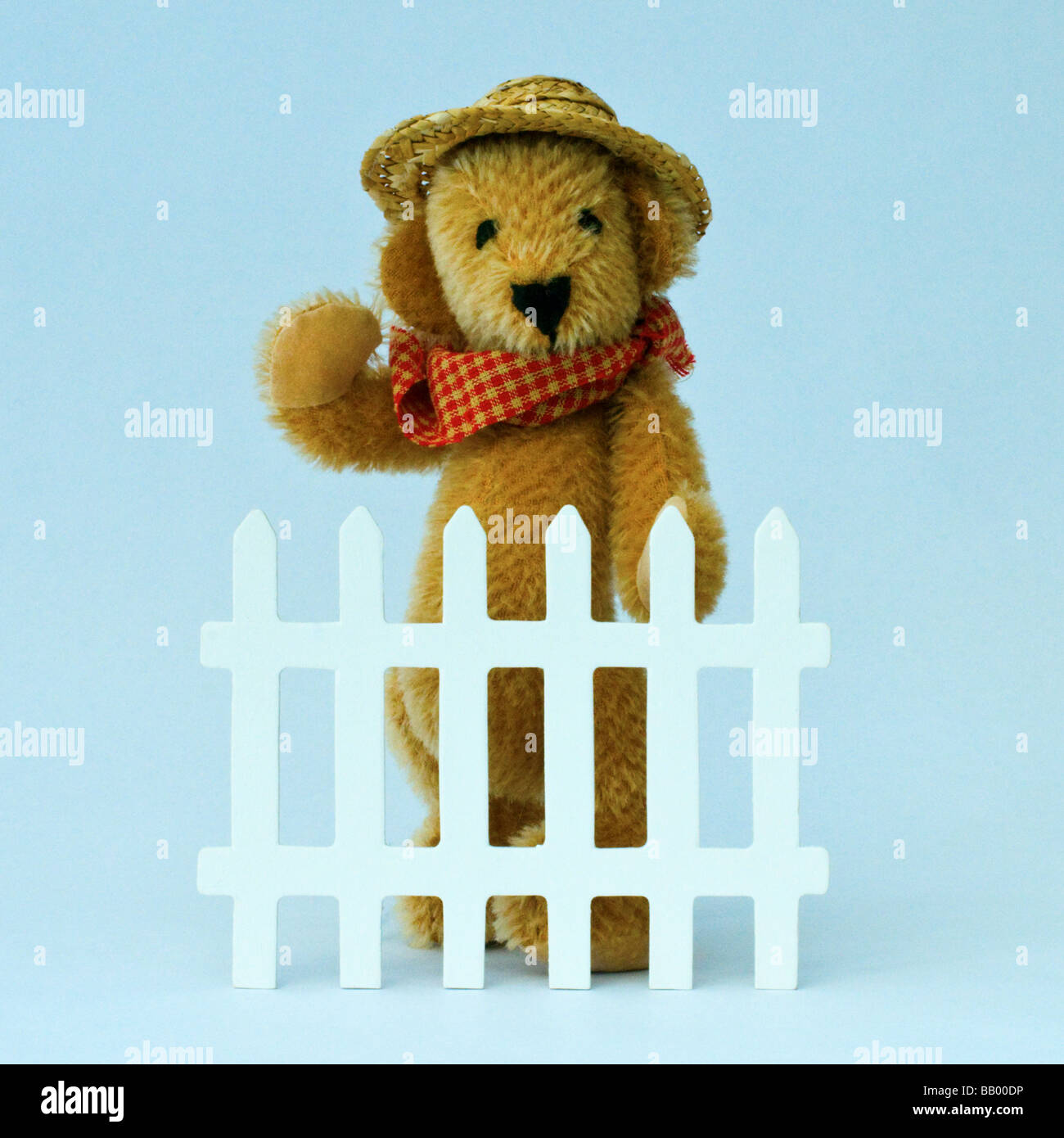 Mini teddy bear in the garden (Mini Bear Collection Stock Photo - Alamy