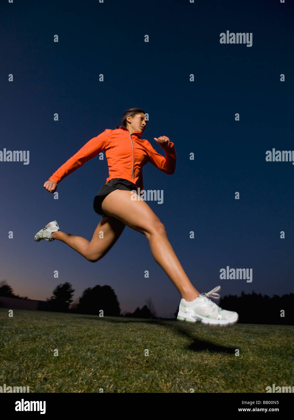 Mixed native grass hi-res stock photography and images - Alamy