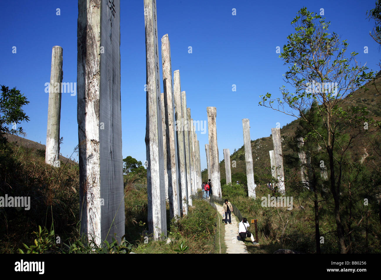 Words Of Wisdom, Path Of Wisdom Stock Photo - Alamy