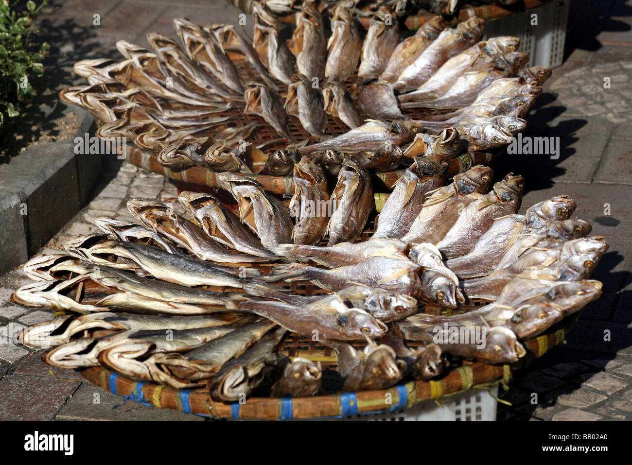 Macau, Salt Dried Fish Stock Photo - Alamy