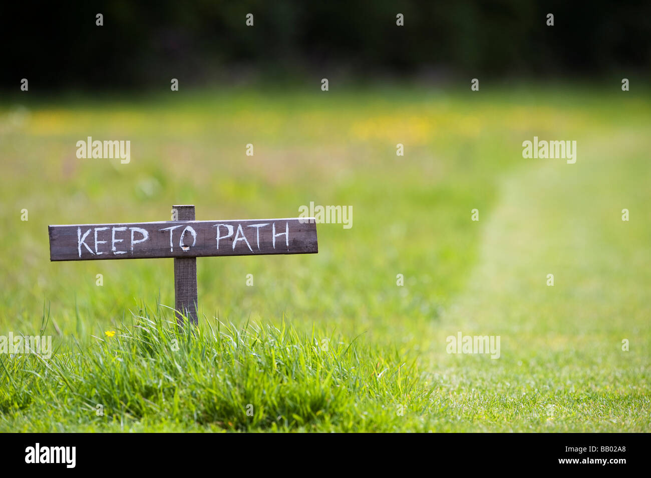 Keep to path warning sign in a garden through a wildflower meadow ...