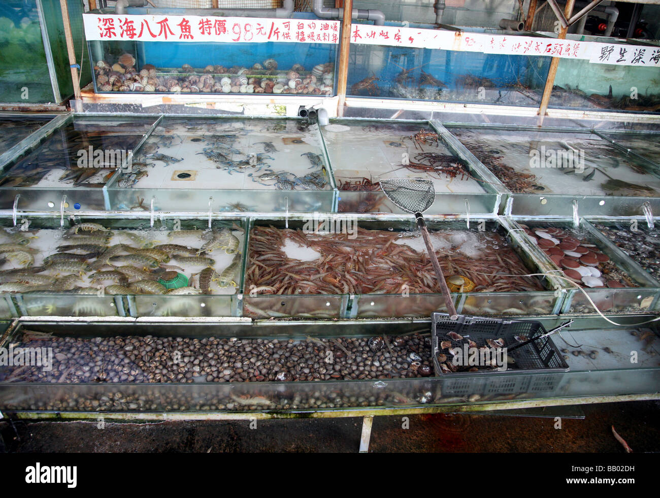 China fish market hi-res stock photography and images - Alamy