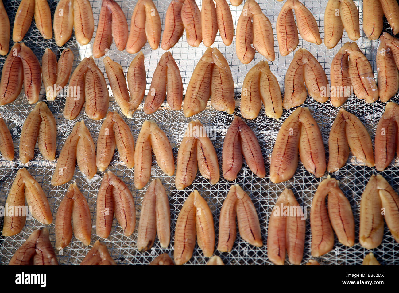 Salt Drying Fish, Cheung Chau Island Stock Photo - Alamy
