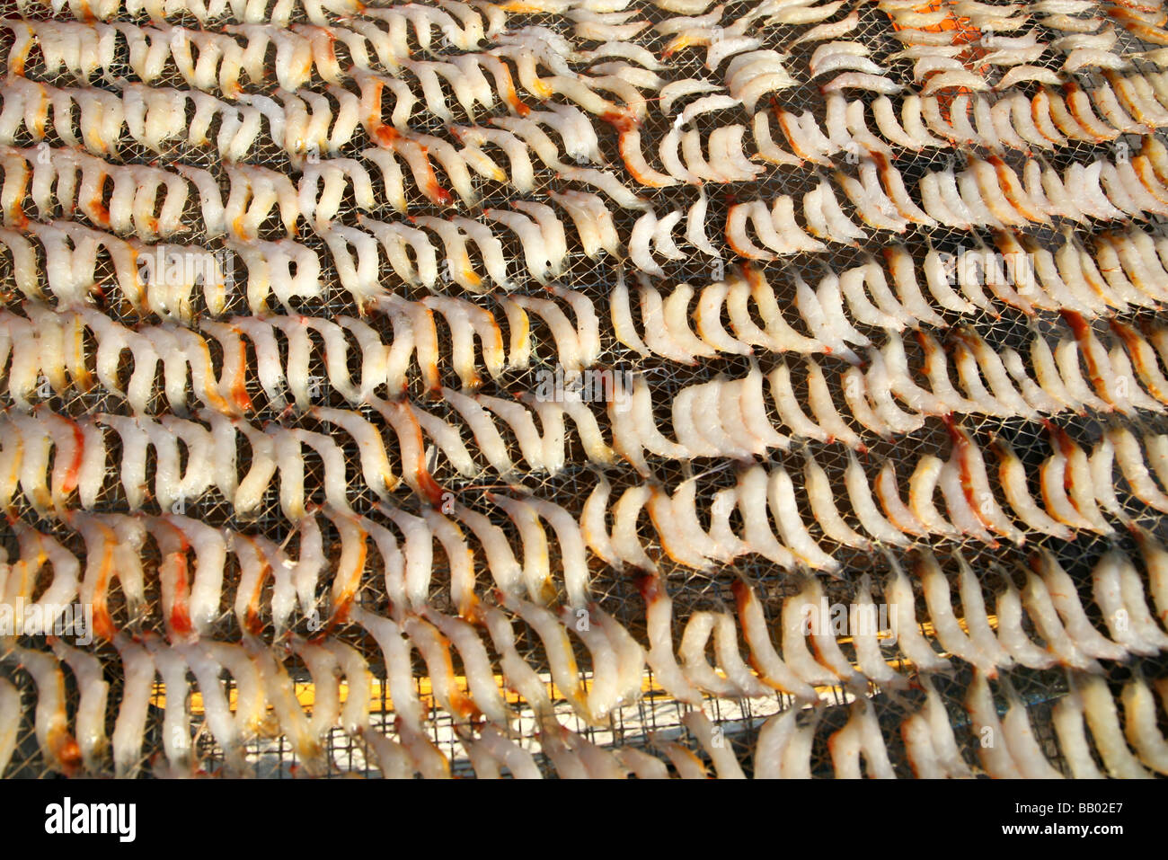 Salt Drying Fish, Cheung Chau Island Stock Photo - Alamy
