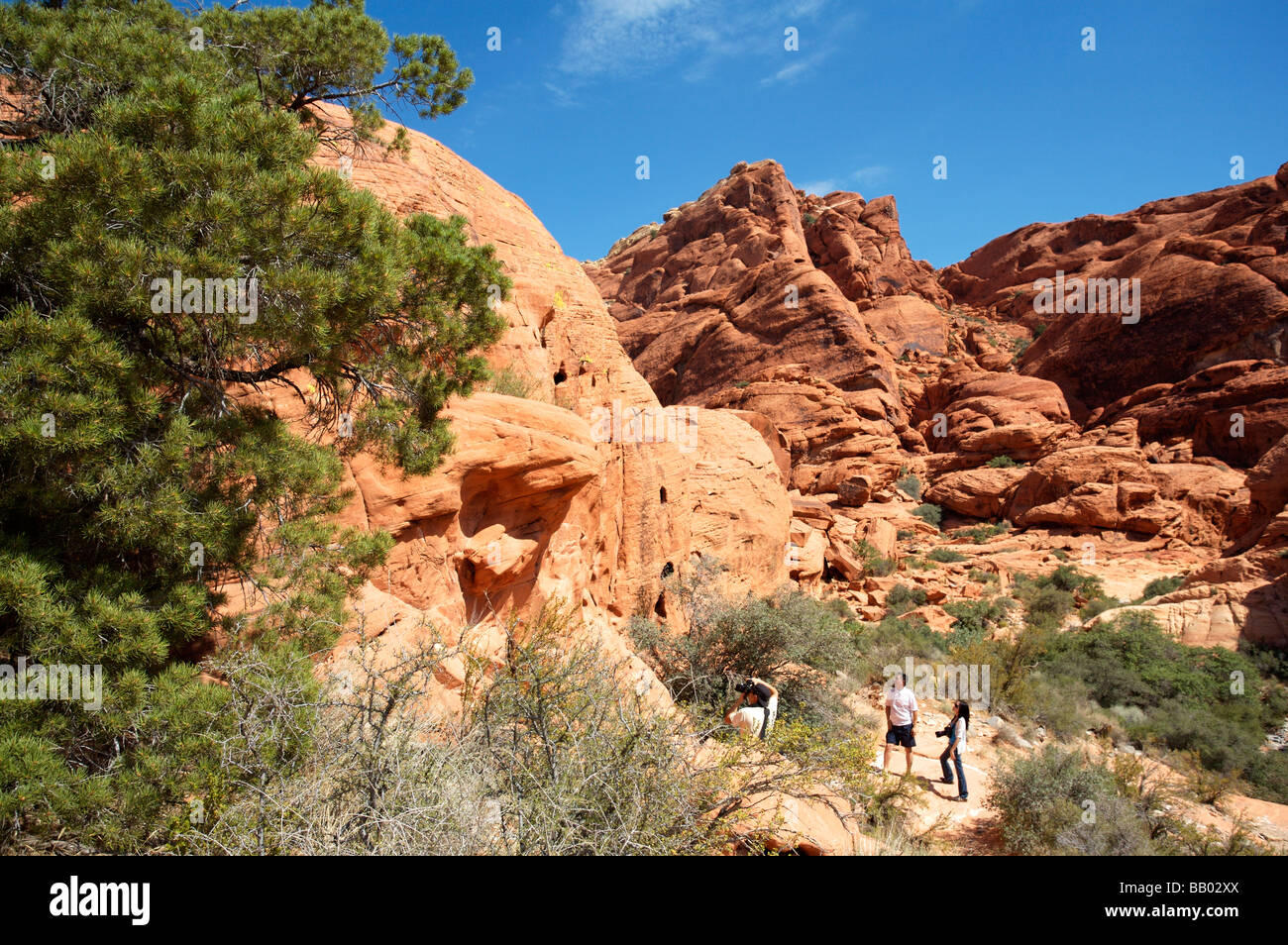 Red Rock Canyon National Park, Nevada Stock Photo - Alamy