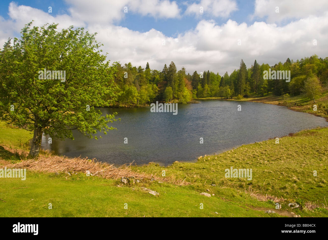 Tarn hows landscape hi-res stock photography and images - Alamy