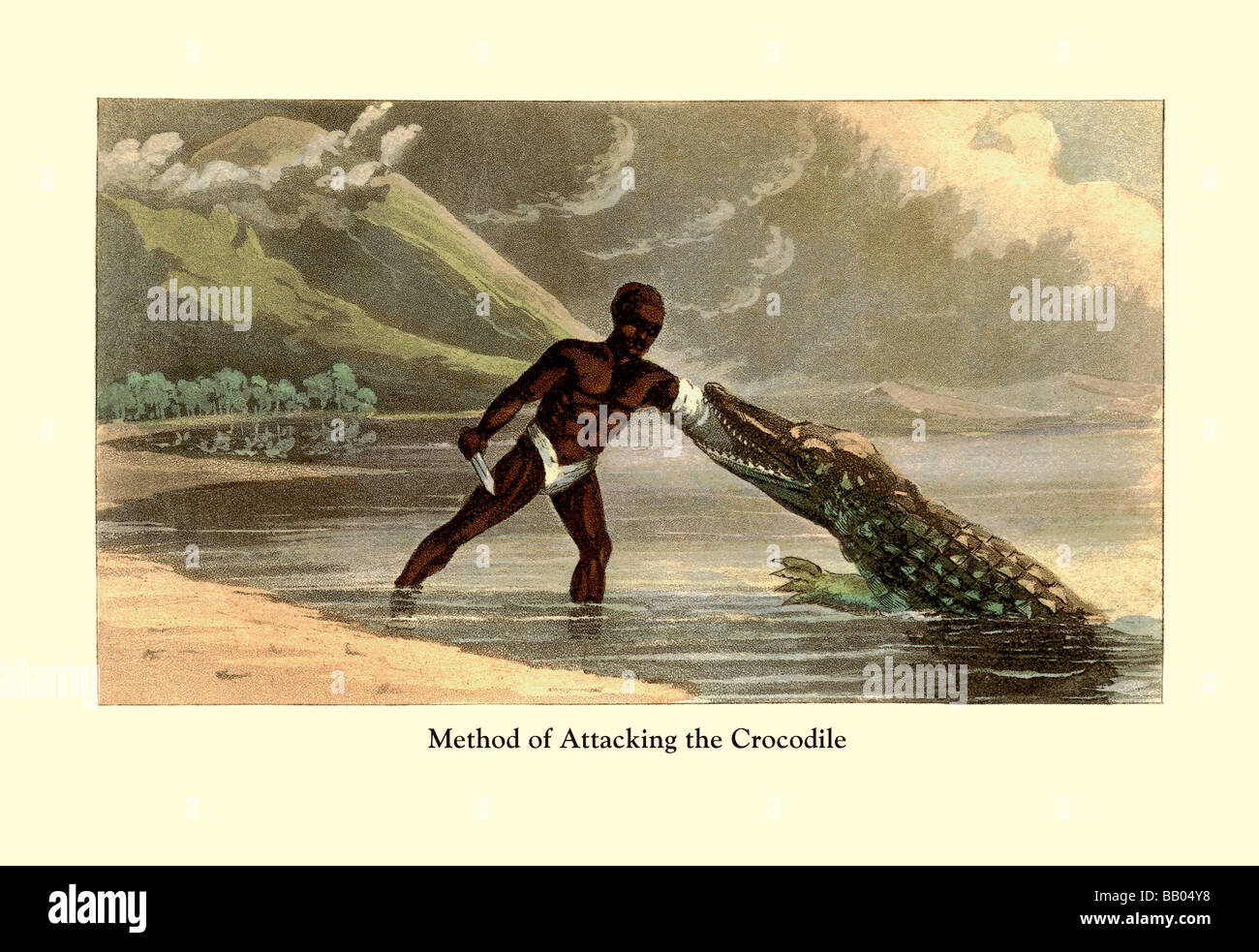 Method of Attacking the Crocodile Stock Photo - Alamy