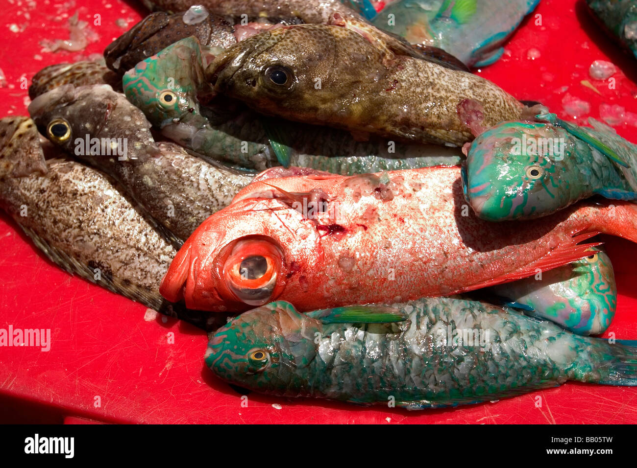 Kolonia High Resolution Stock Photography and Images - Alamy