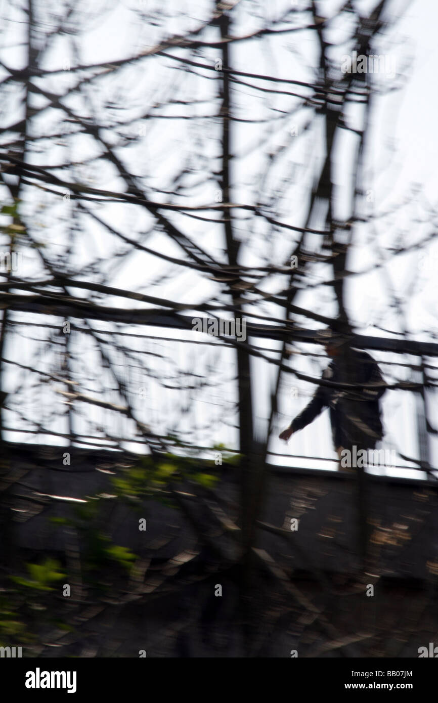 person walking along path in dark woods forest Stock Photo - Alamy