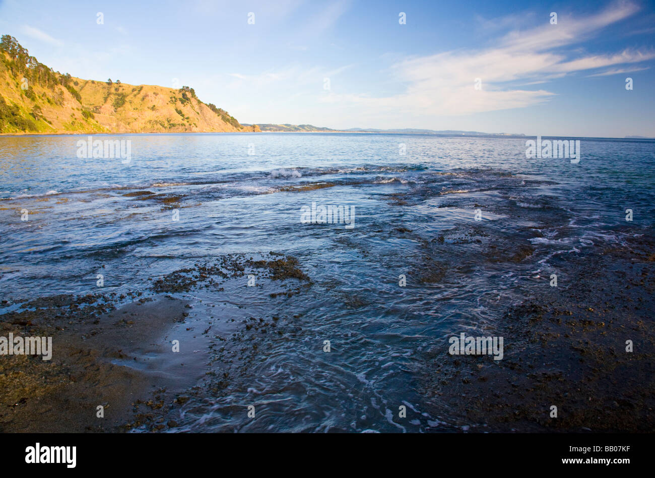 Goat Island Marine Reserve North Island New Zealand Stock Photo - Alamy
