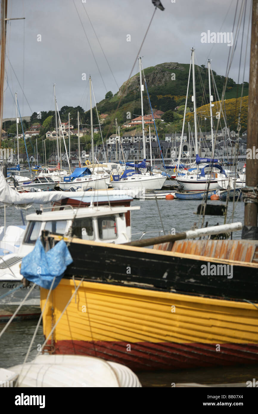 Town of Conwy, Wales. Leisure and fishing boats moored in Conwy Harbour ...
