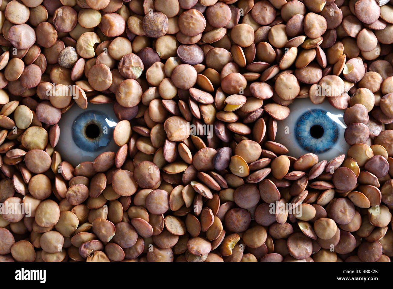 closeup of human eye on lentils background Stock Photo - Alamy