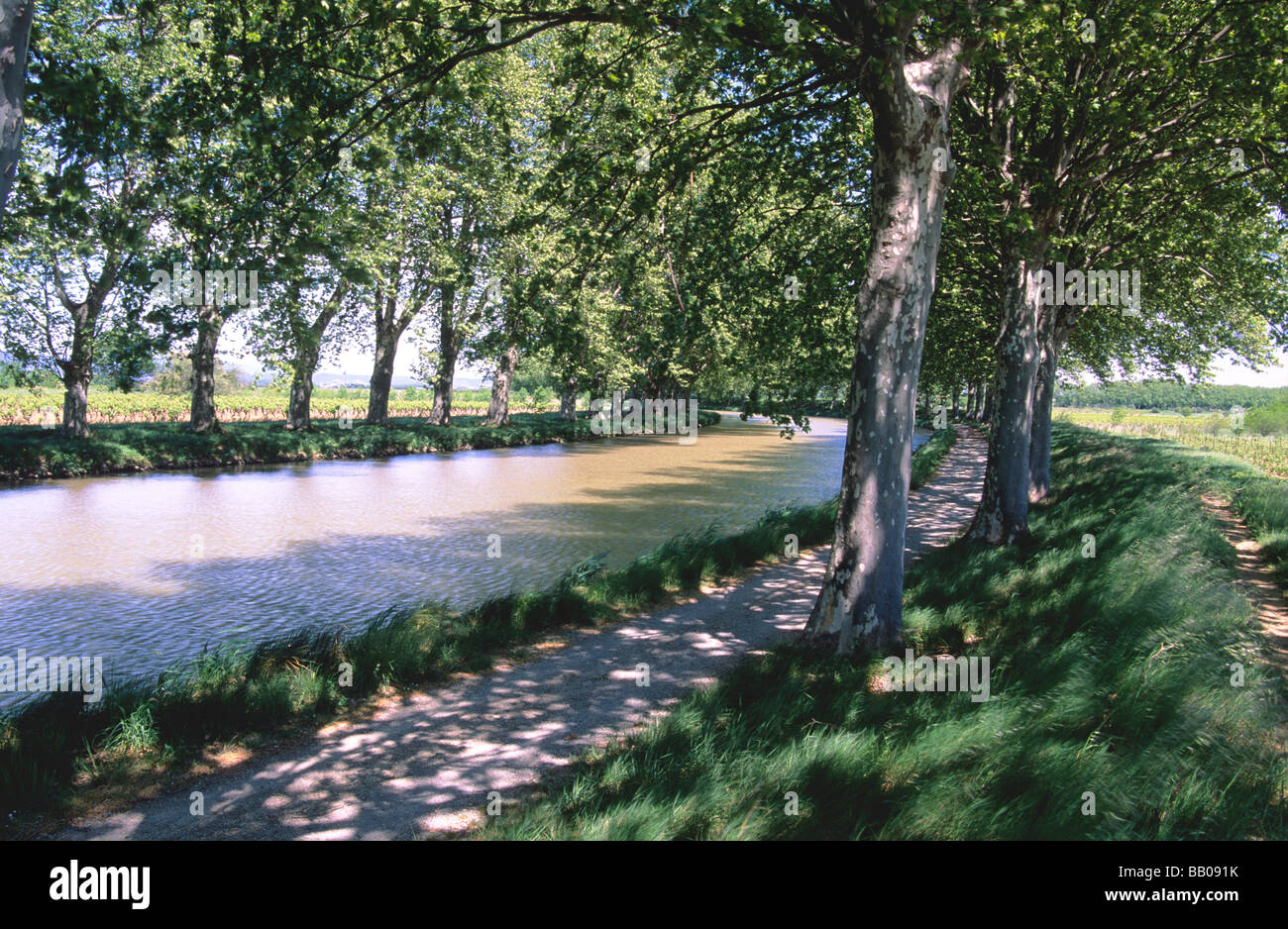 Canal du Midi near le Somail Languedoc France Stock Photo - Alamy