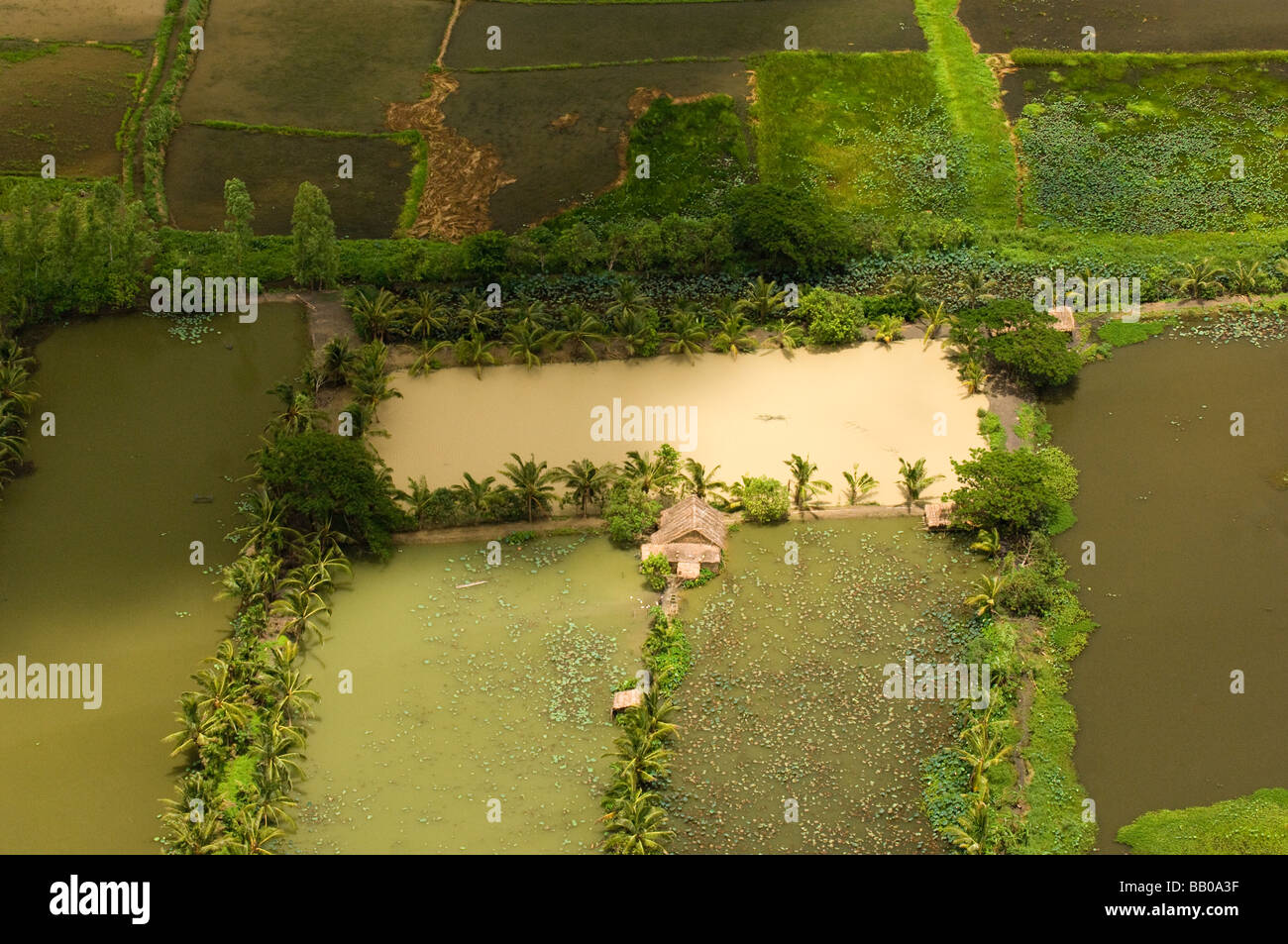 Ayeyarwady hi-res stock photography and images - Alamy