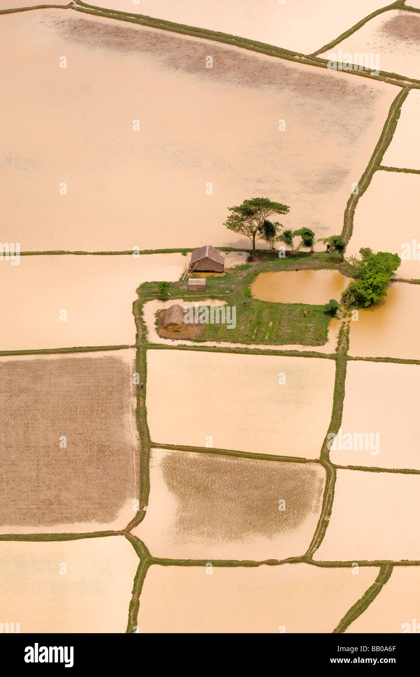 Aerial view of rice fields in southern Myanmar Stock Photo - Alamy