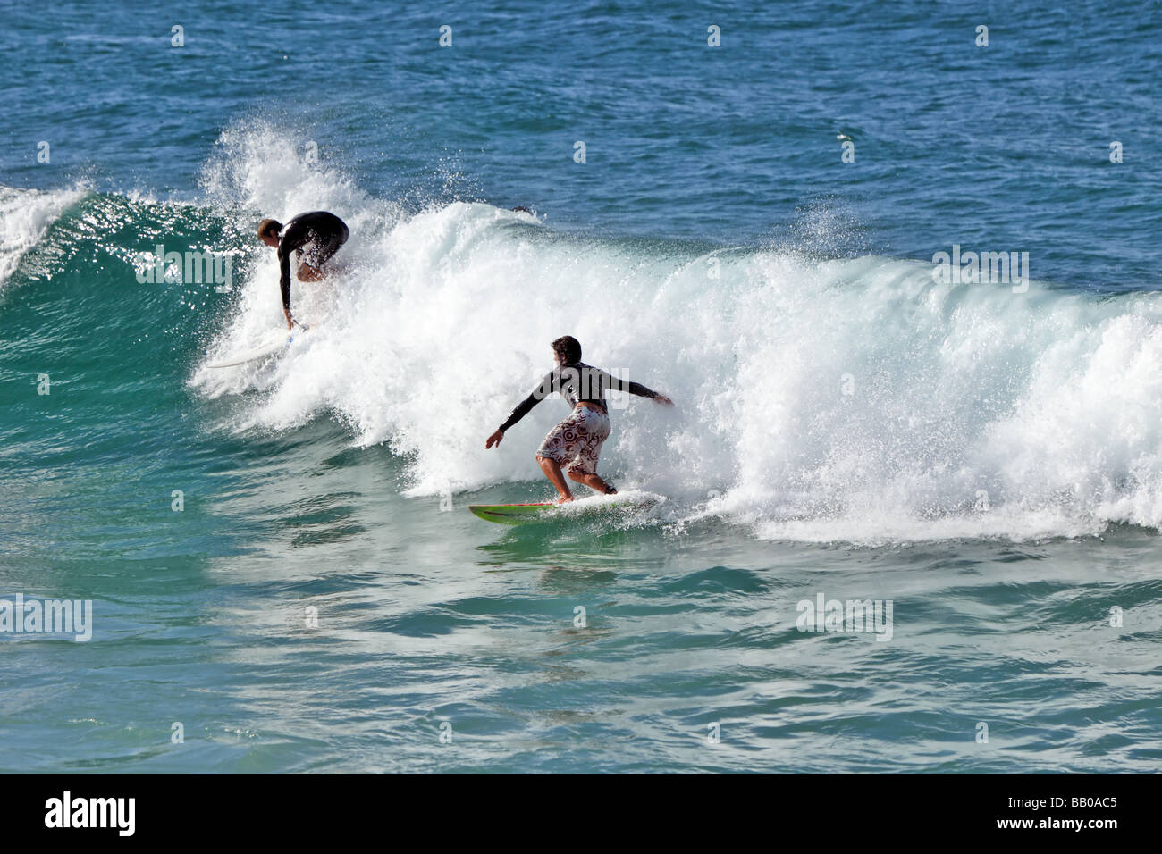 Surfers with surfboards catching waves Stock Photo - Alamy