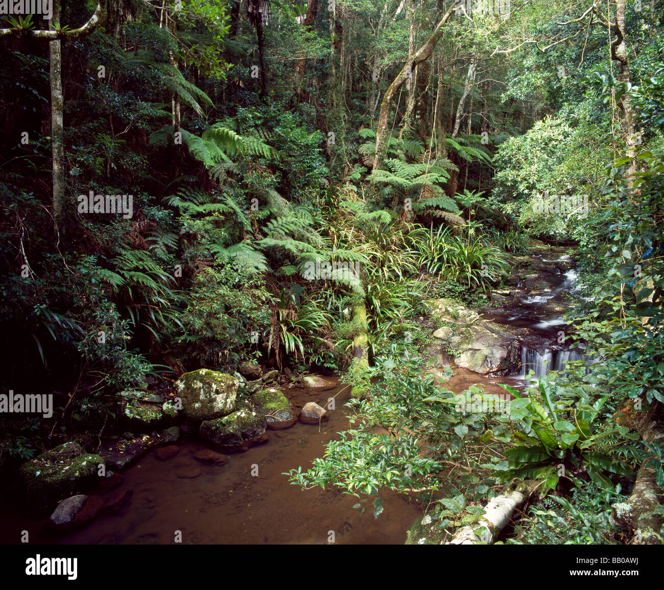 Lamington national hi-res stock photography and images - Alamy