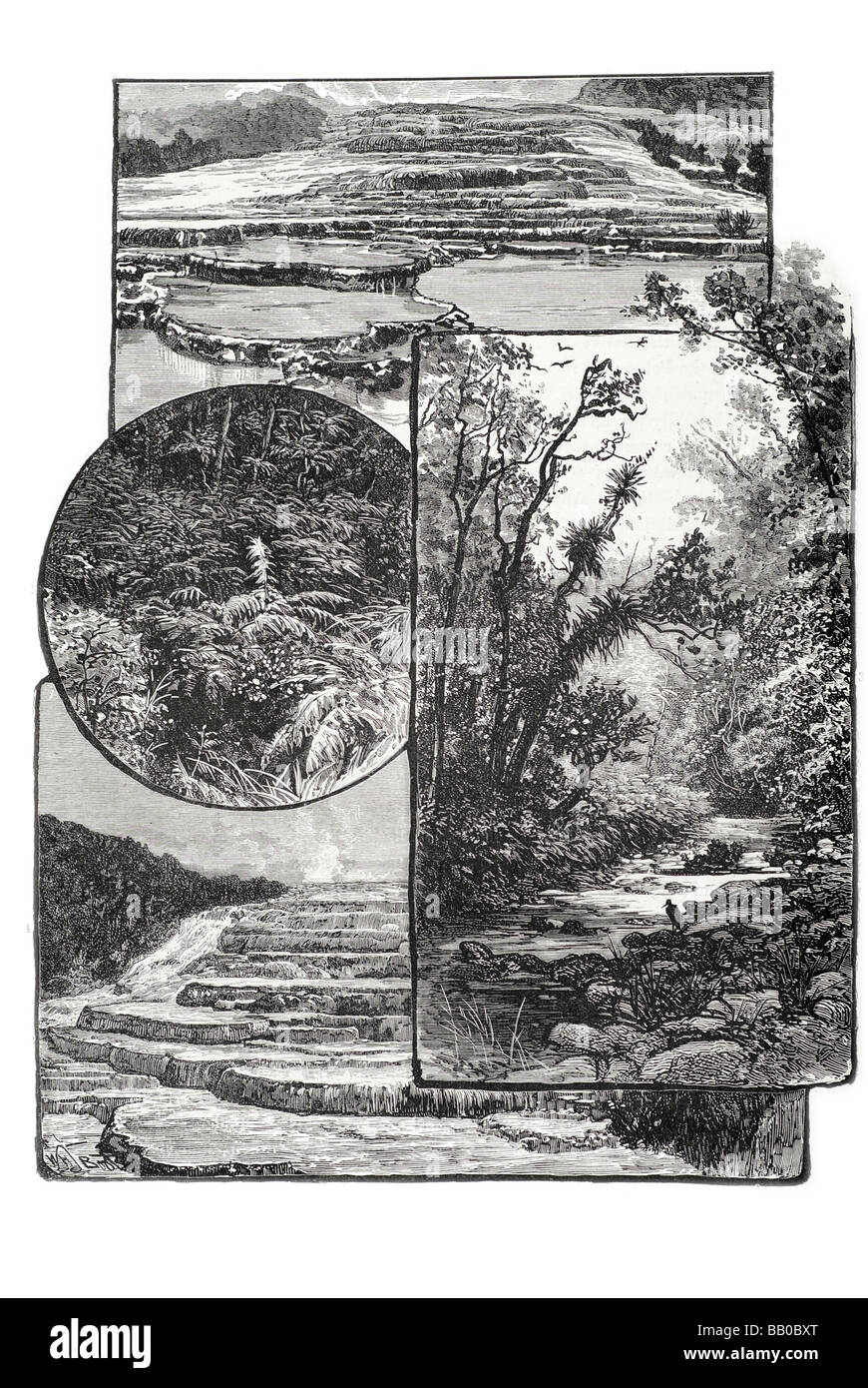 views in auckland province Stock Photo - Alamy