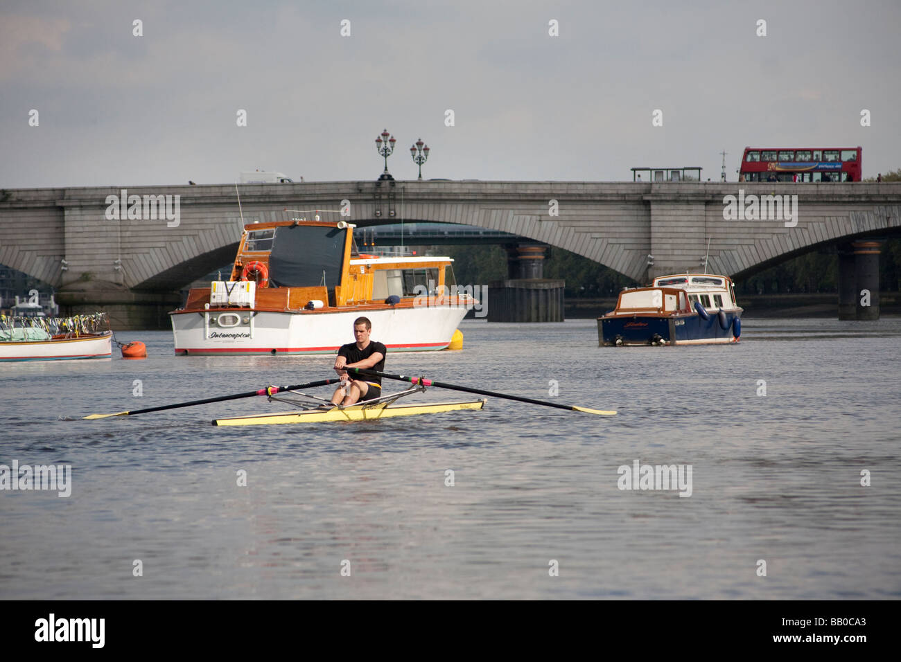 a rower sculling on the River Thames at Putney Bridge, london Stock ...