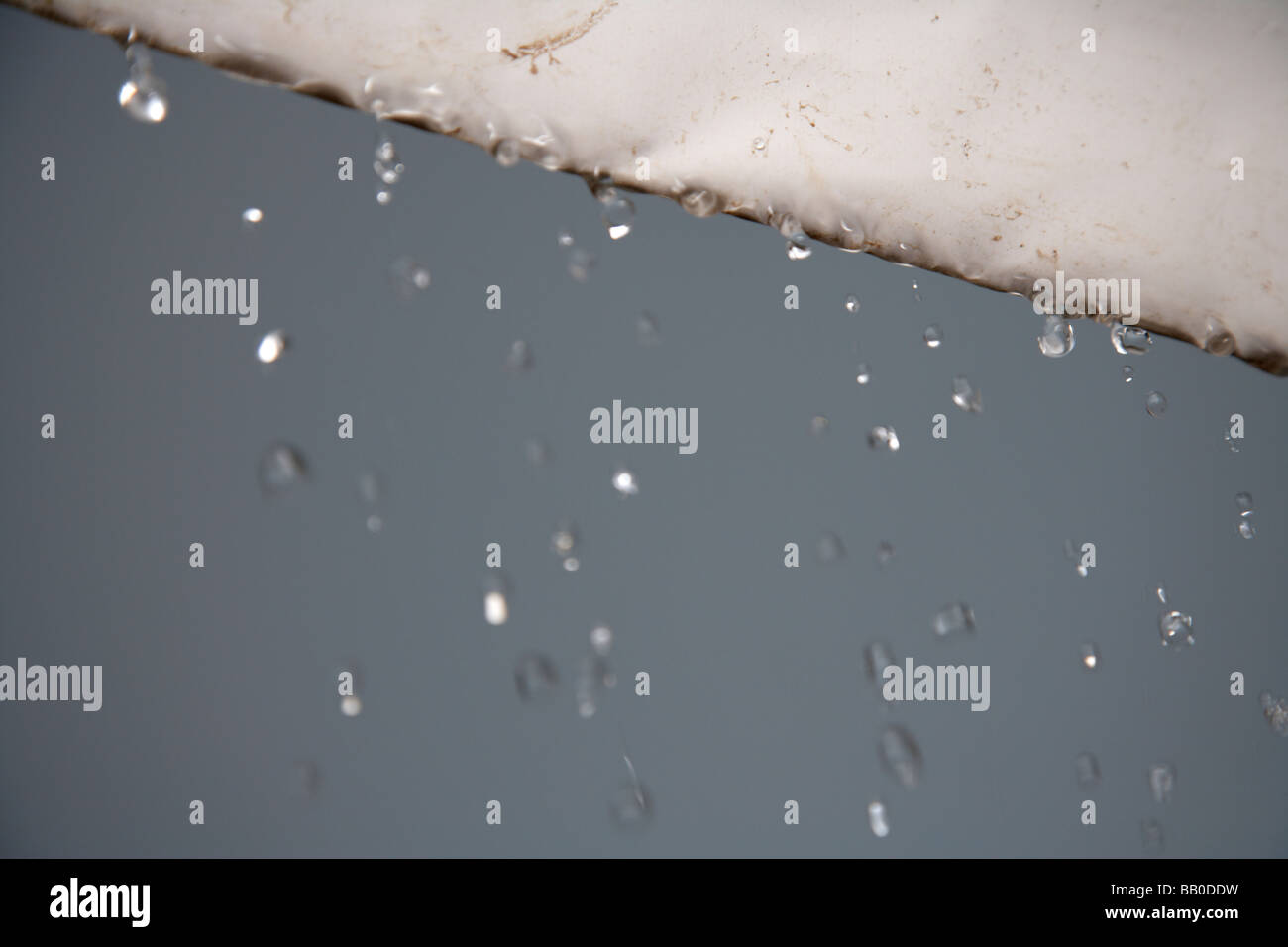 Drops Dripping High Resolution Stock Photography and Images - Alamy