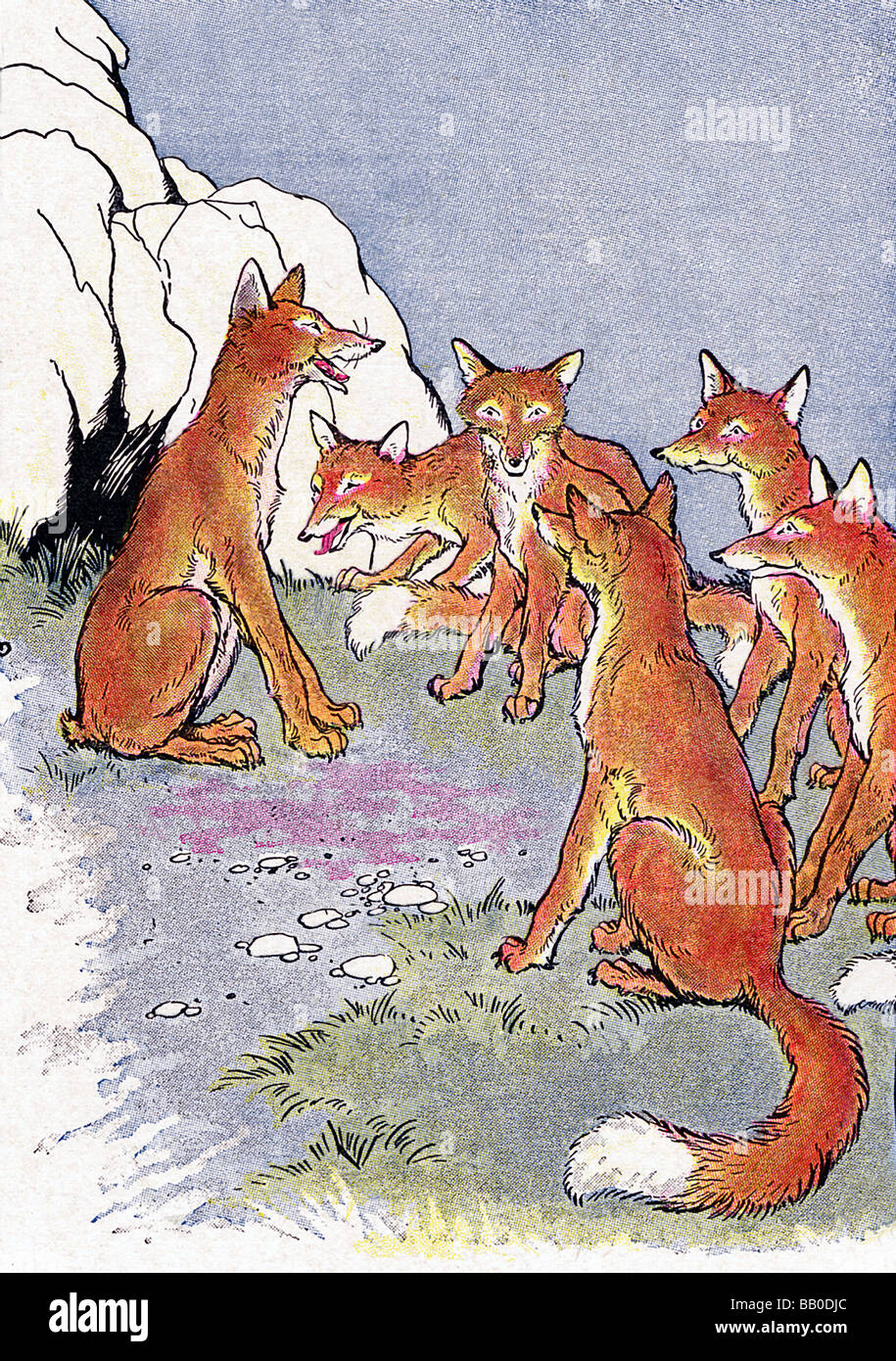Aesop's Fox and Lost Tail Stock Photo - Alamy