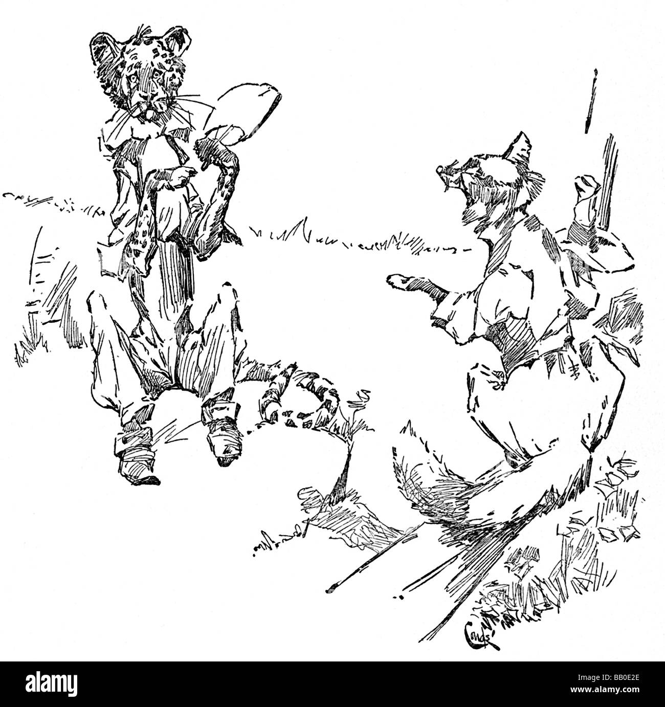 Fox and leopard hi-res stock photography and images - Alamy