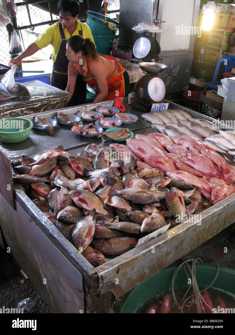 Fish stall at Bangkok fish market Thailand Stock Photo - Alamy