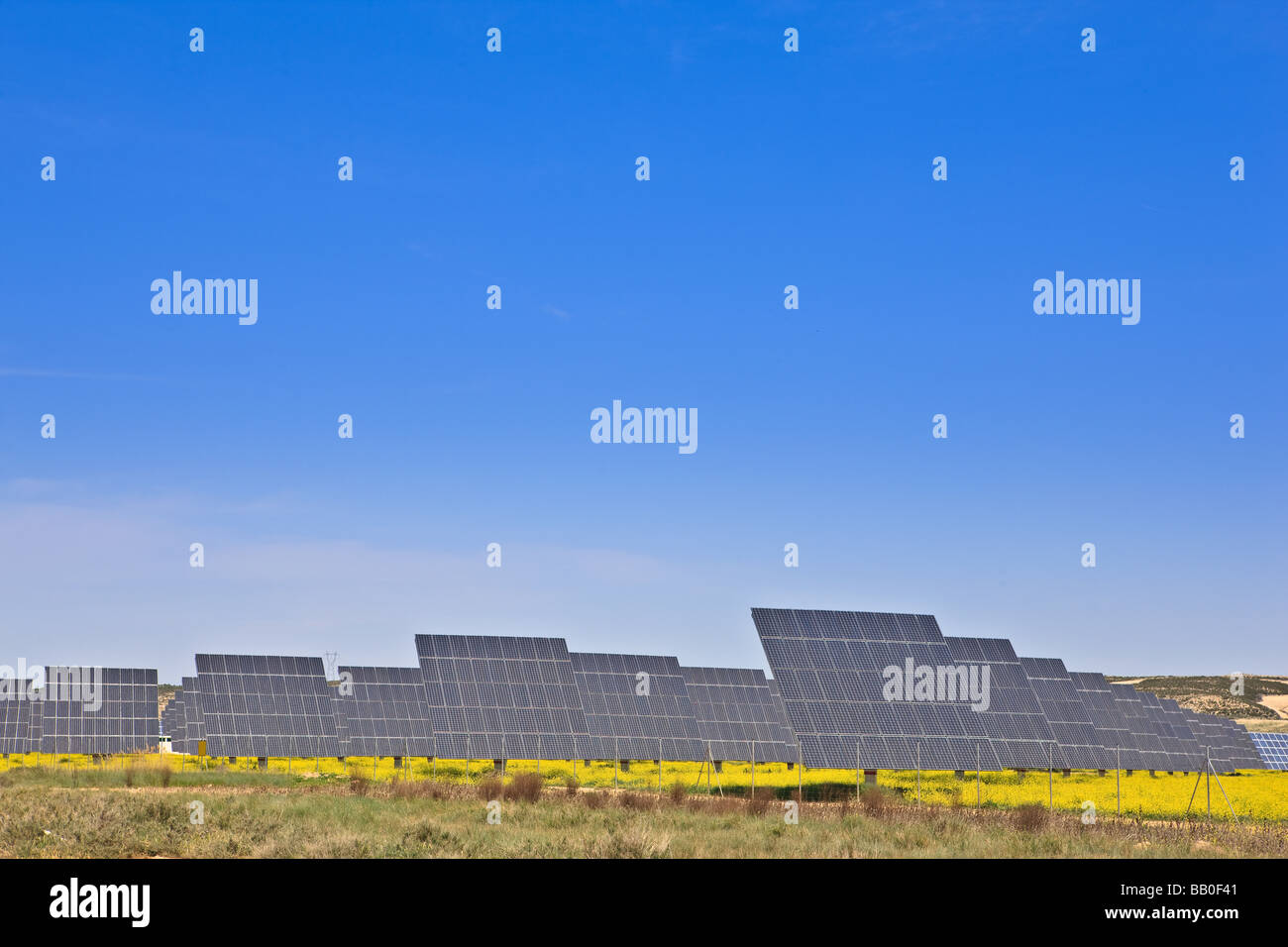 Solar panels in the power plant for renewable energy Stock Photo - Alamy