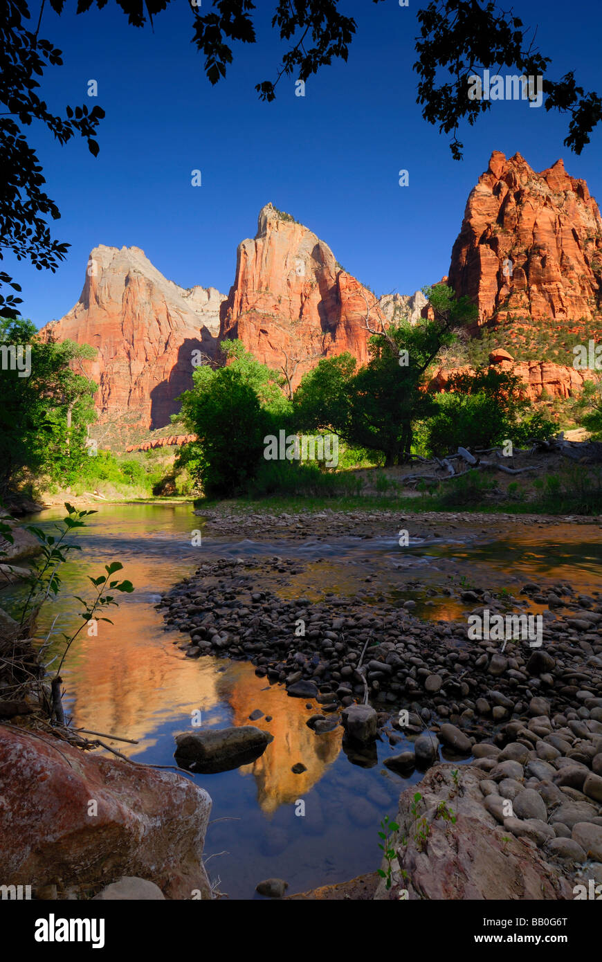 Zion thomas hi-res stock photography and images - Alamy