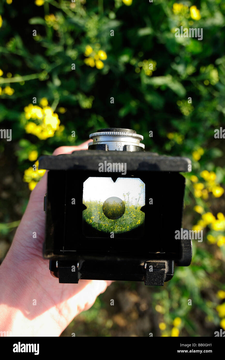 Photographer ´s hand holding vintage twin lens medium format camera ...