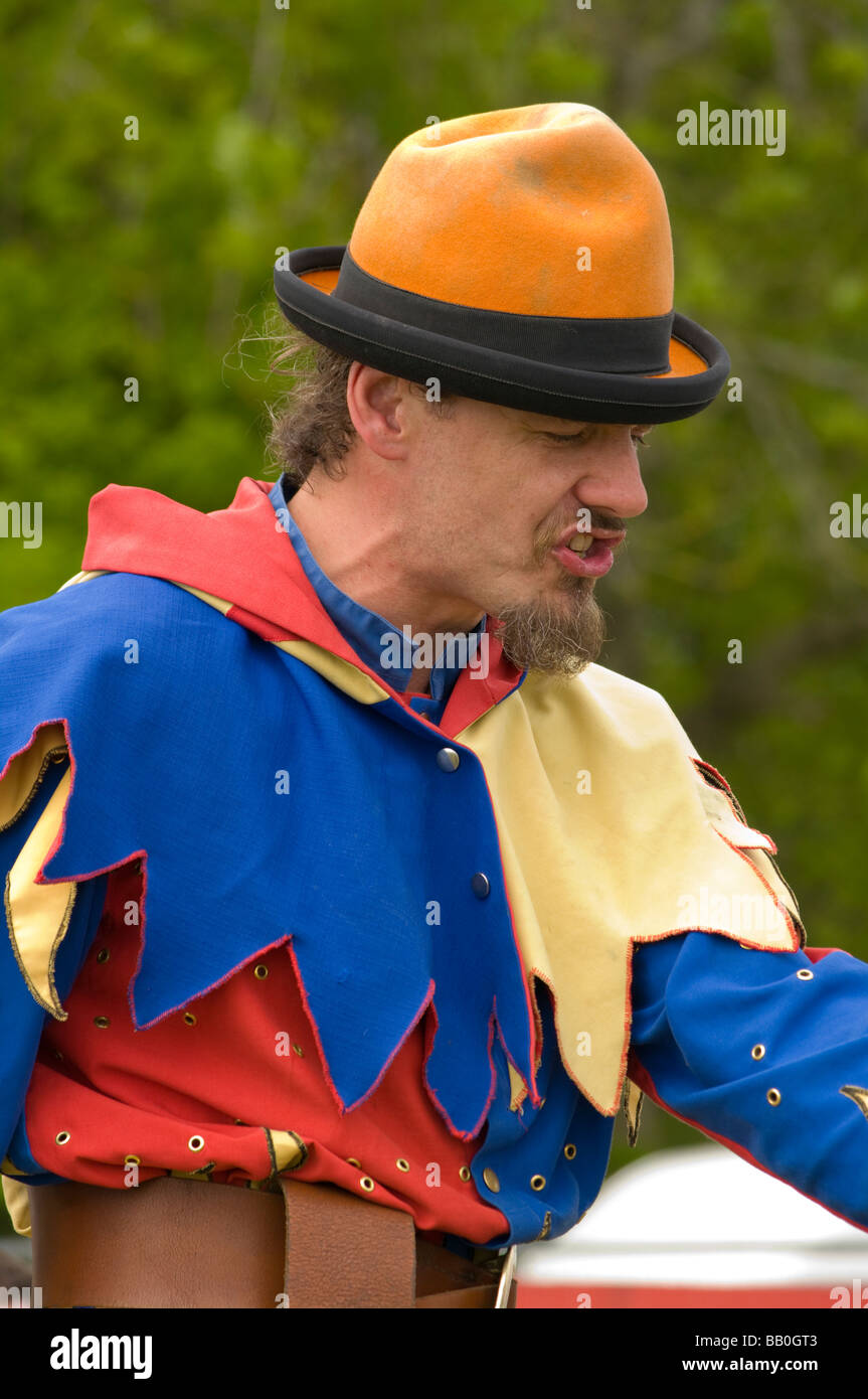 Male jester hi-res stock photography and images - Alamy