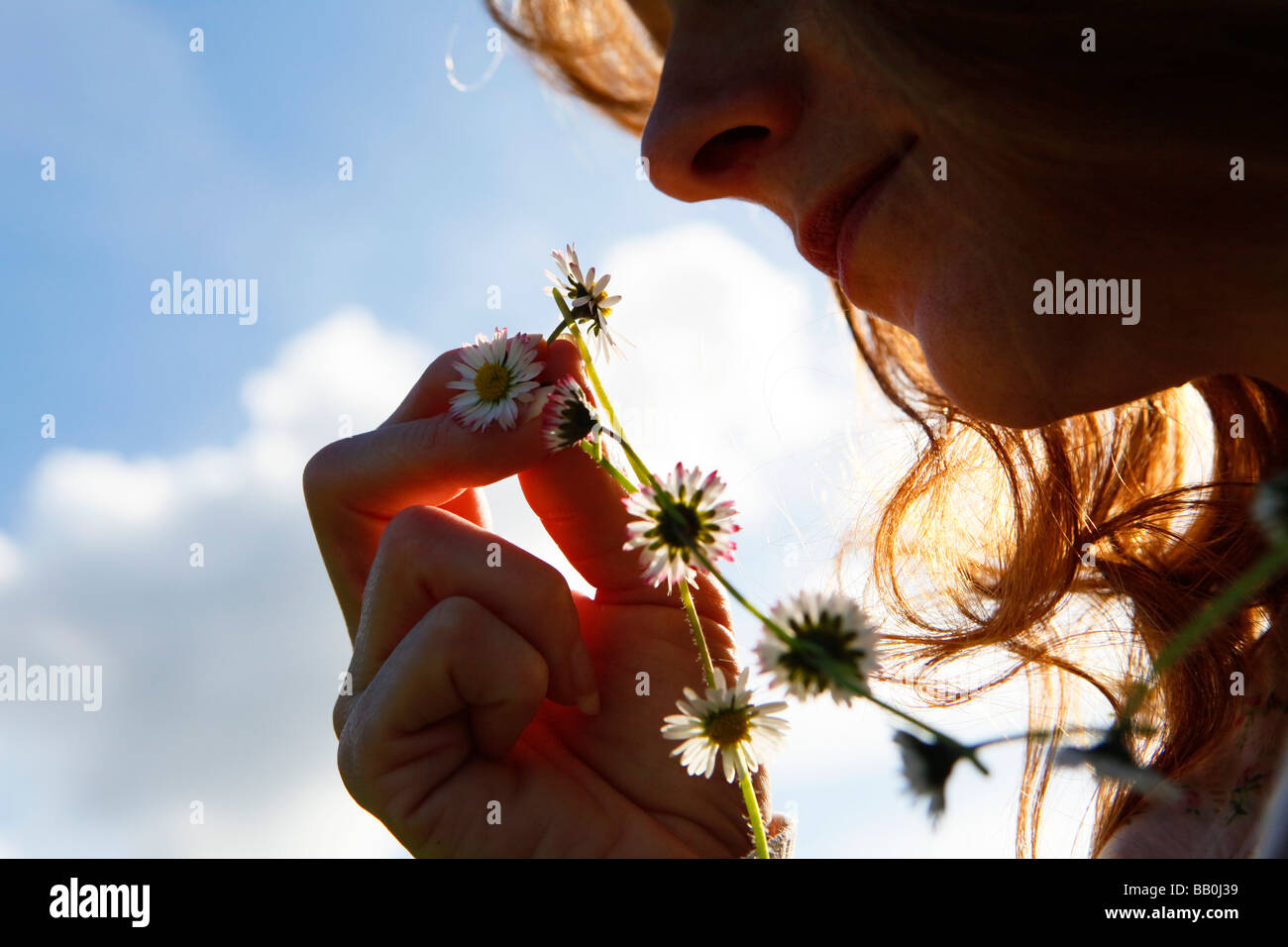 Daisy chain hi-res stock photography and images - Alamy