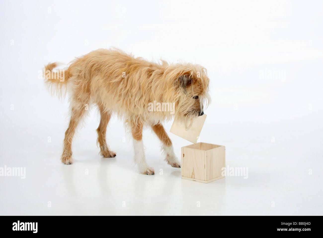 Taking cover hi-res stock photography and images - Alamy