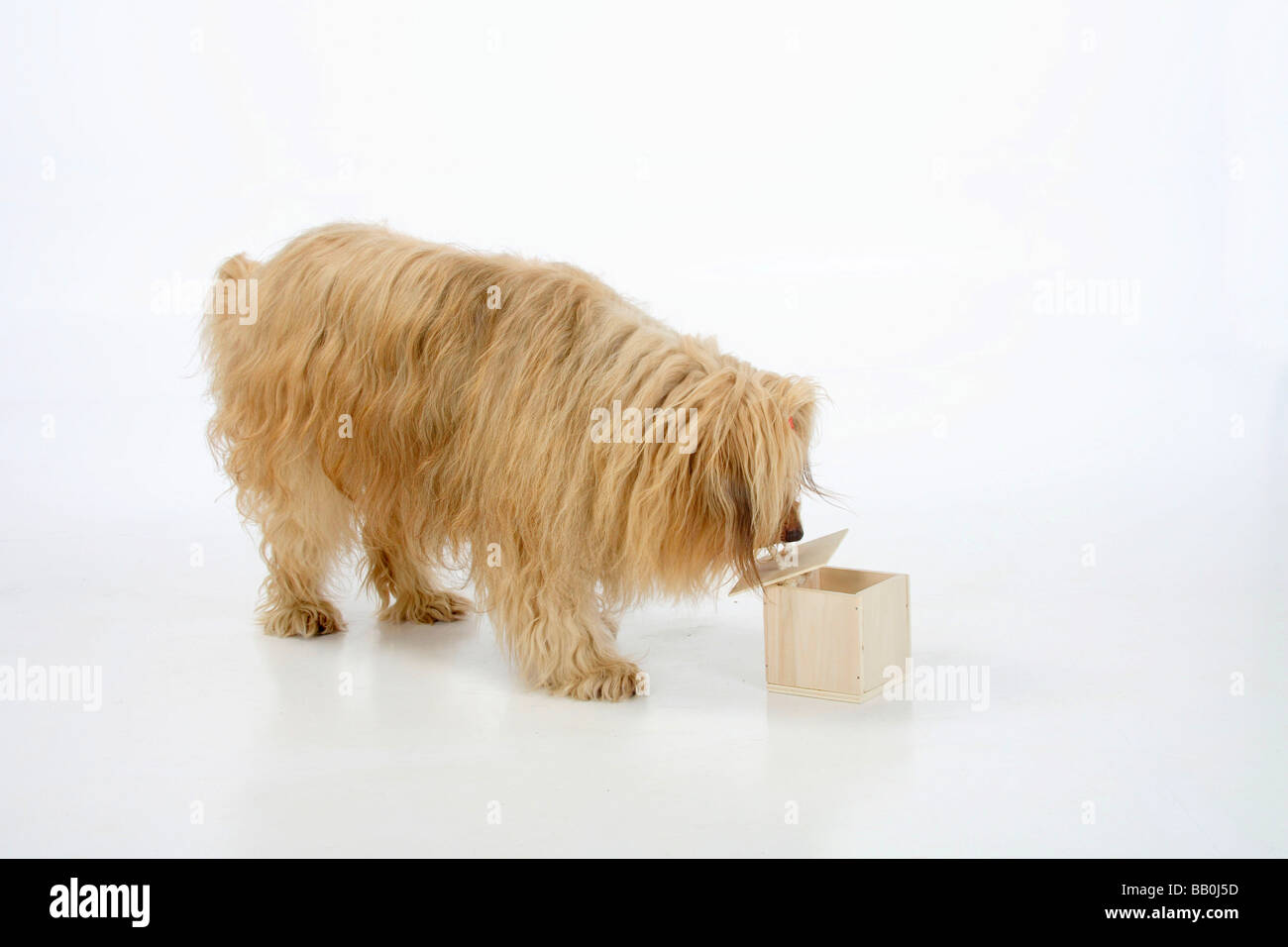 Taking cover hi-res stock photography and images - Alamy