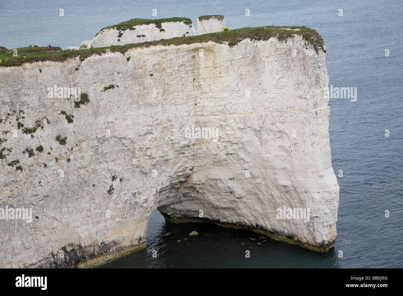 Chalk cliffs Ballard Point near Old Harry Rocks, Dorset, England Stock ...