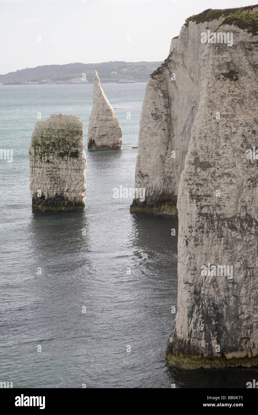 Chalk cliffs Ballard Point near Old Harry Rocks, Dorset, England Stock ...