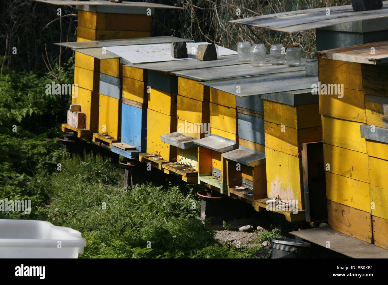many bee hives in field in countryside Stock Photo - Alamy