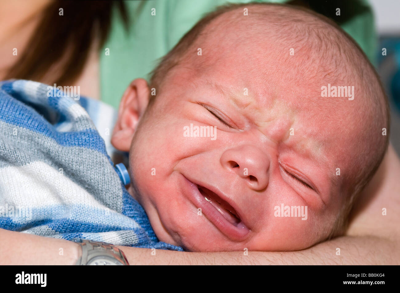 Whimper Stock Photos & Whimper Stock Images - Alamy