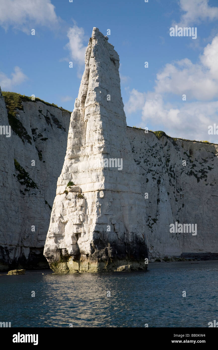 The Pinnacle stack, Handfast Point, Dorset, England Stock Photo - Alamy