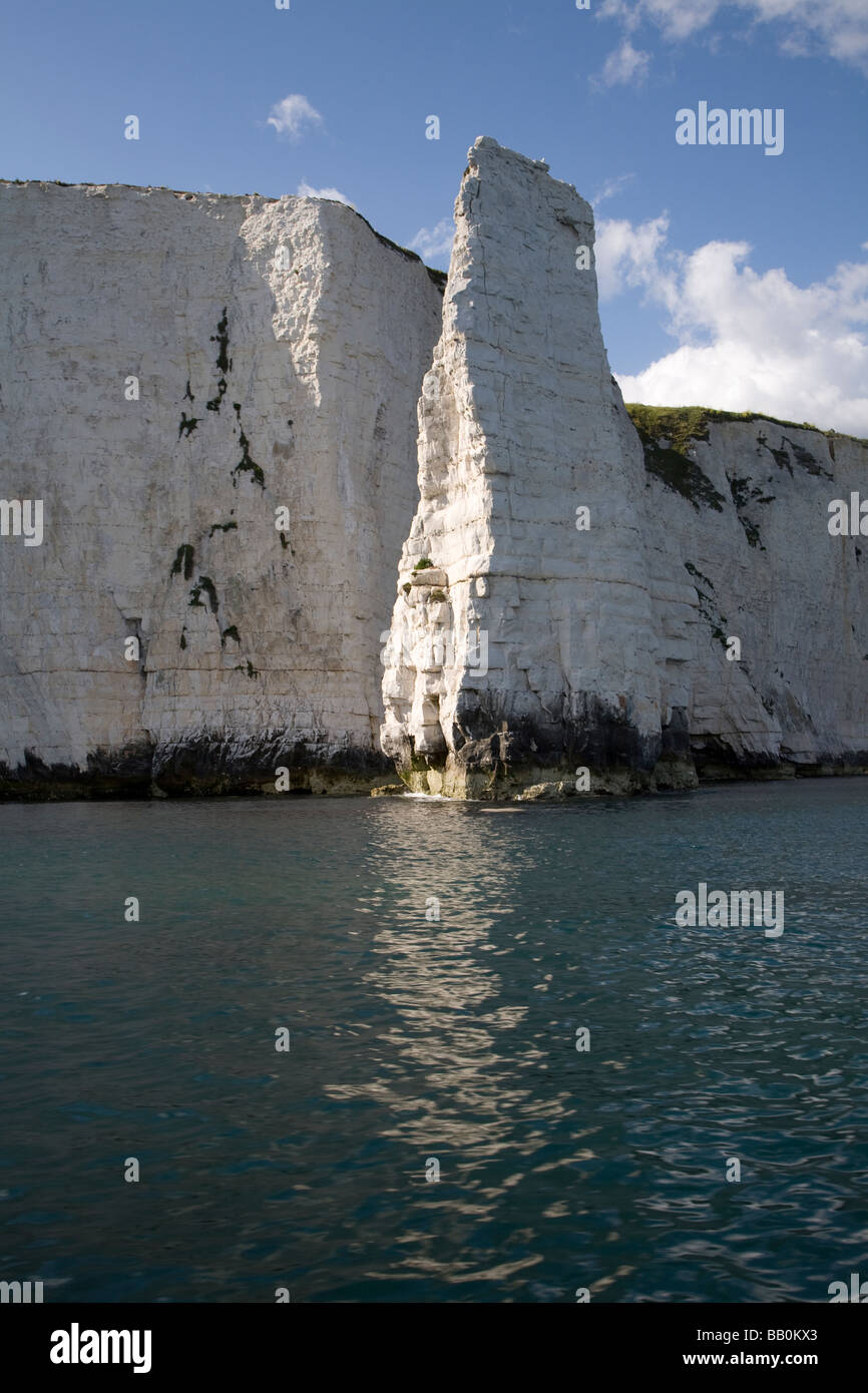 The Pinnacle stack, Handfast Point, Dorset, England Stock Photo - Alamy