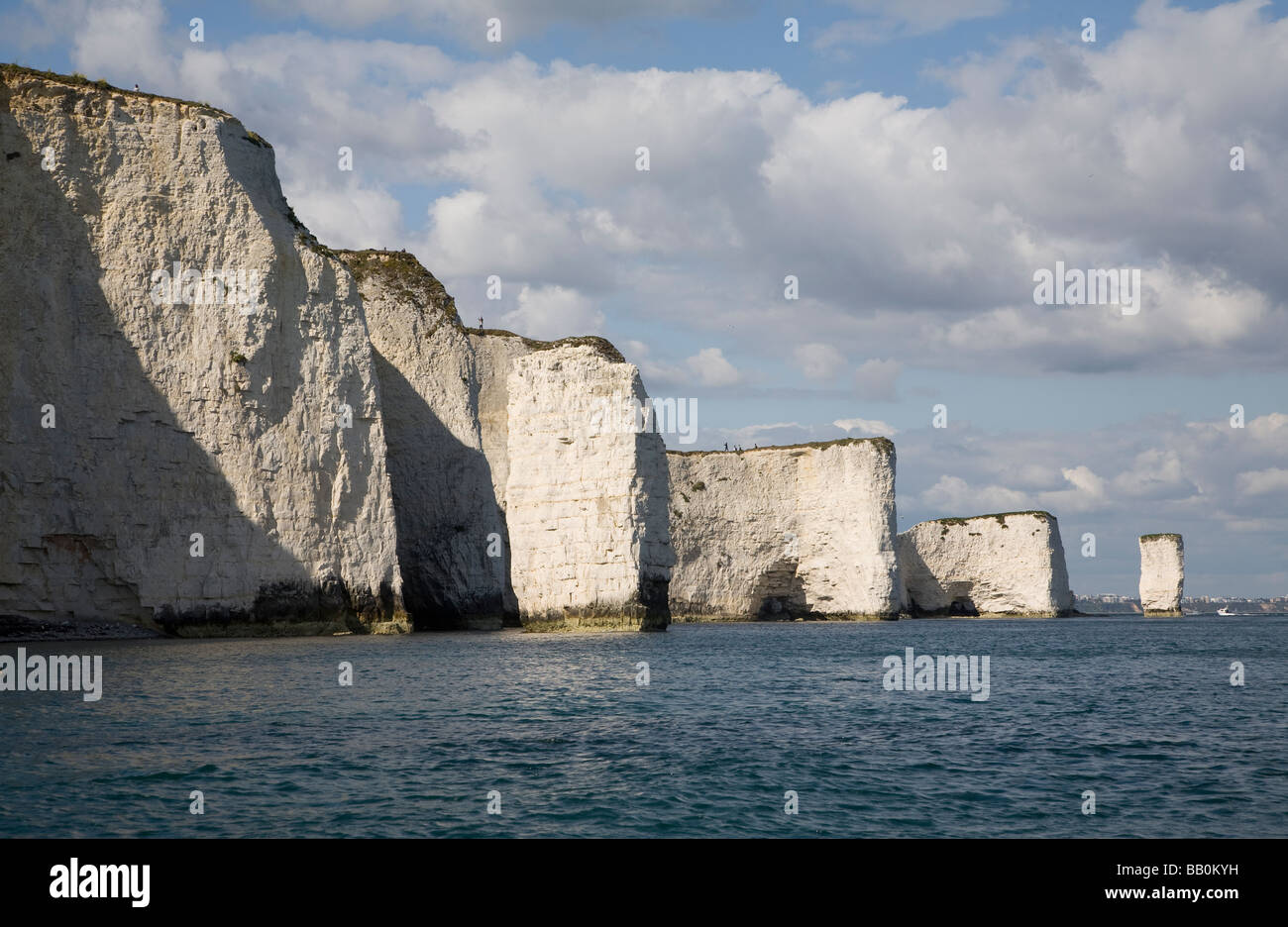 Chalk cliffs and stacks Old Harry Rocks, Handfast Point, Dorset ...